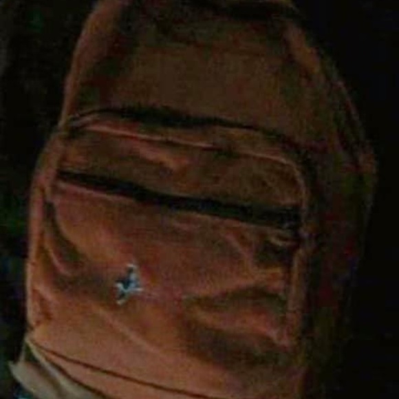 Jansport | Bags | Read Description Bella Swans Twillight Backpacks ...